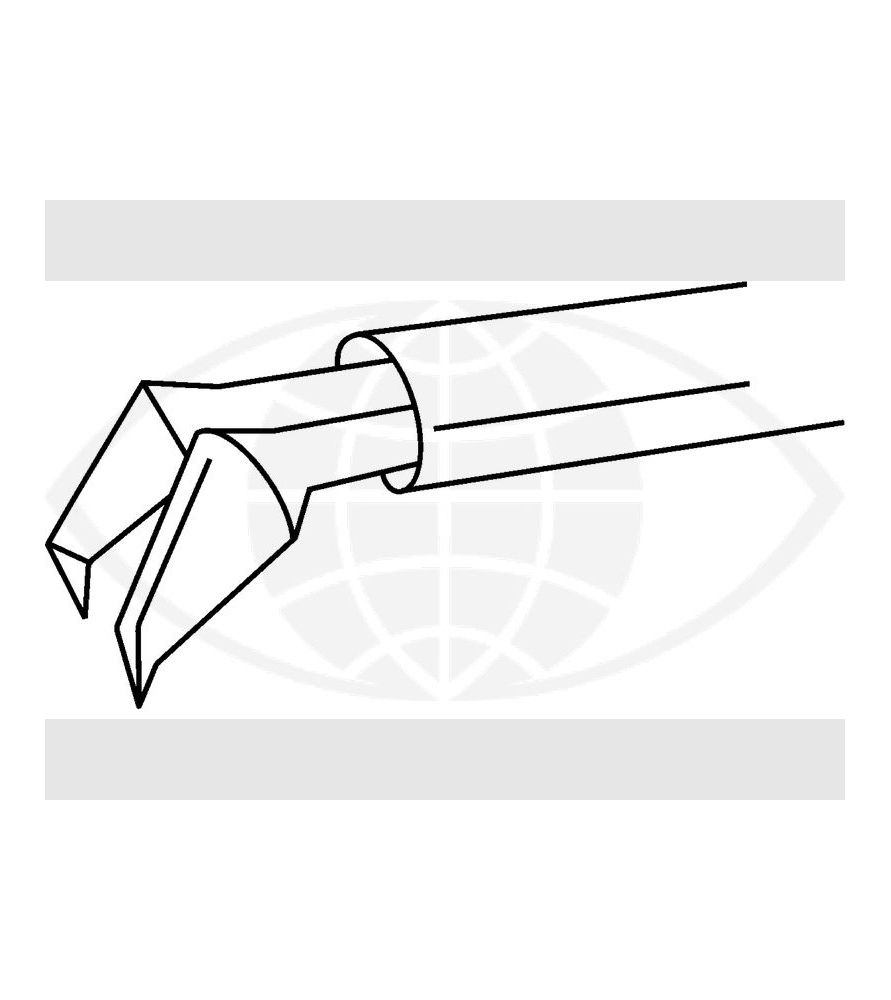 Pinza para Capsulorhexis